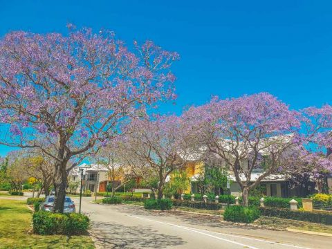 Todo lo que hay para ver y hacer en Perth, Australia - La mochila al hombro